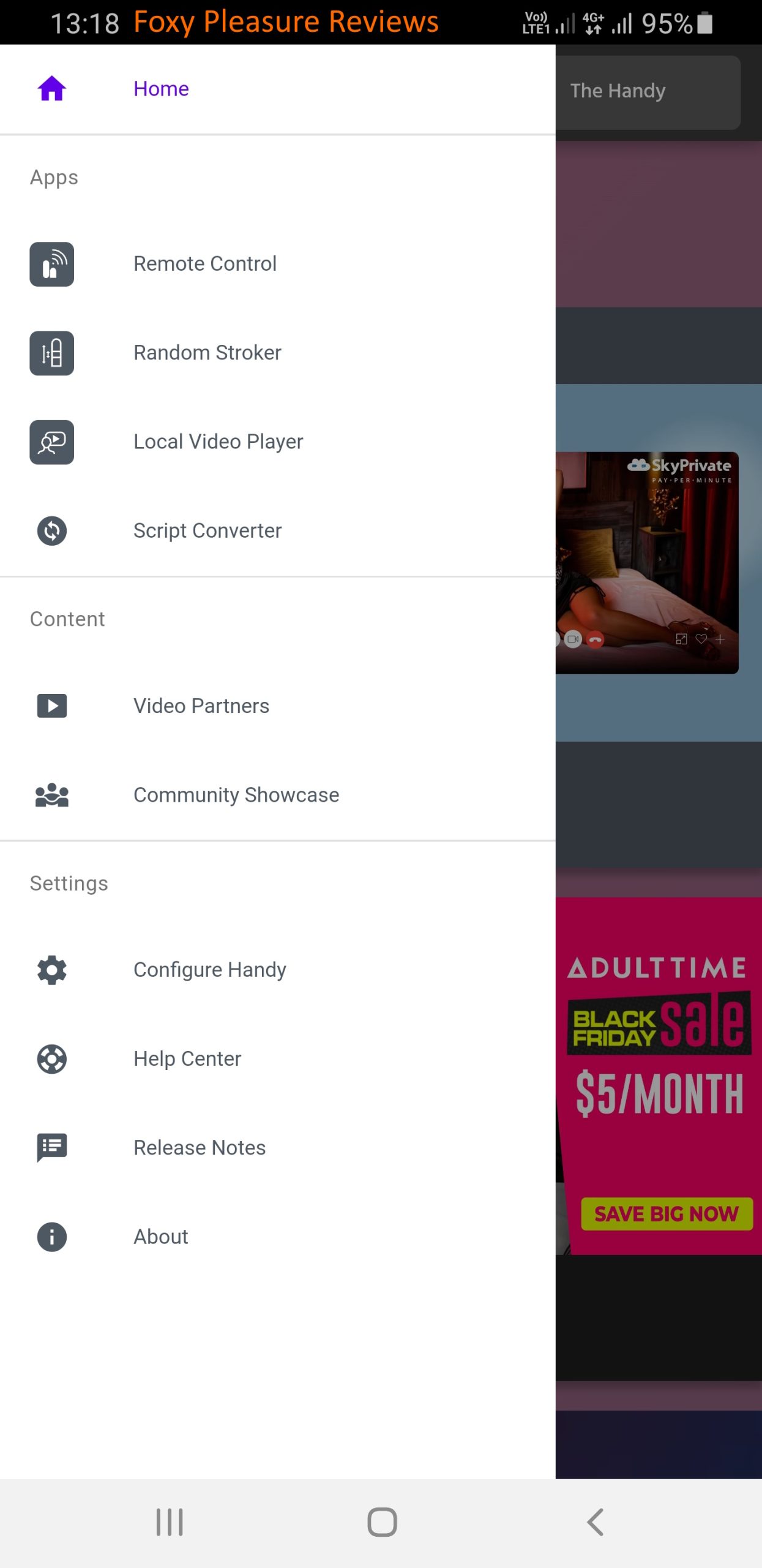 Review of The Handy - Foxy Pleasure Reviews